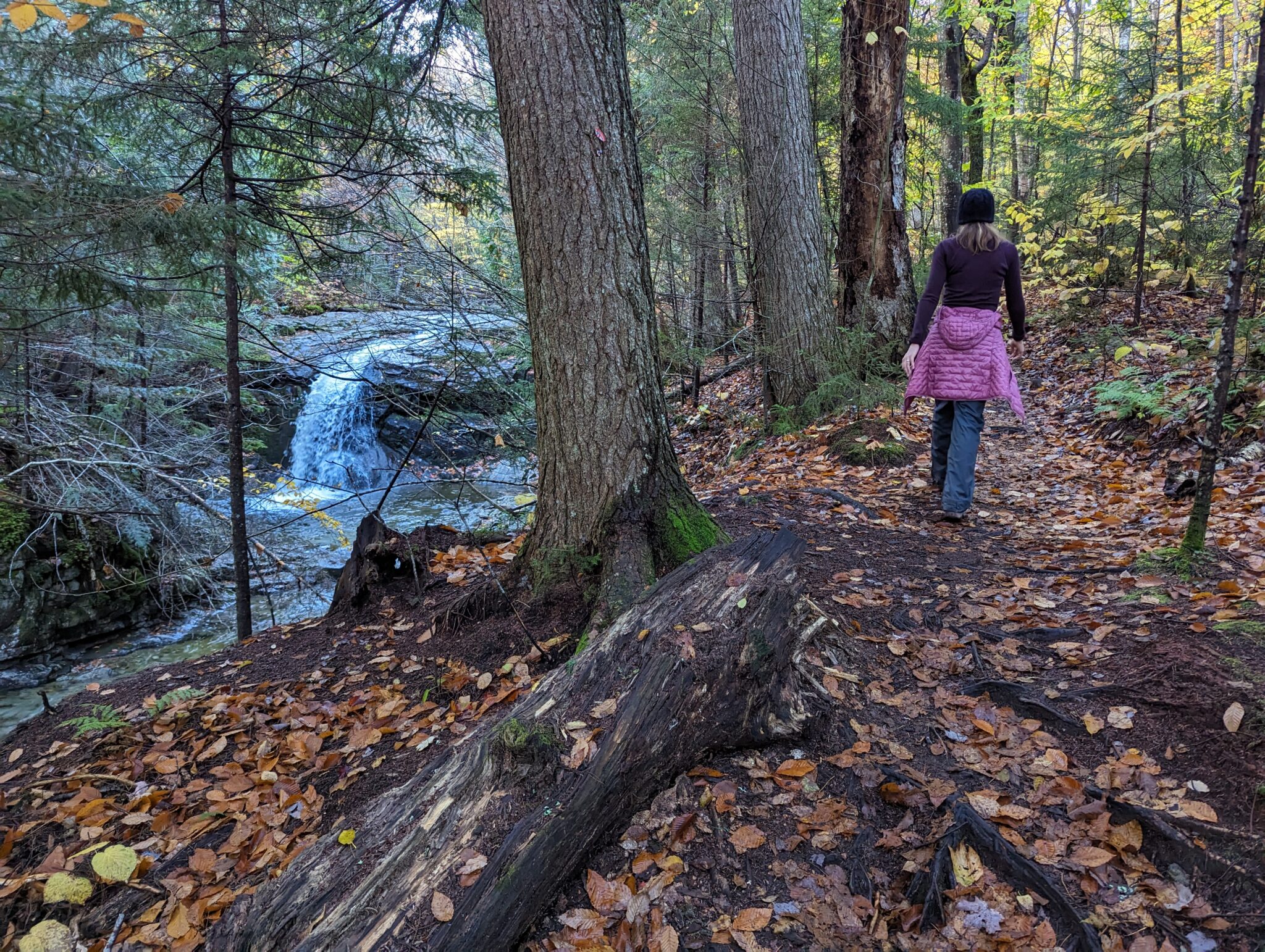 Hike Guide: Indian Head - Adirondacks, New York