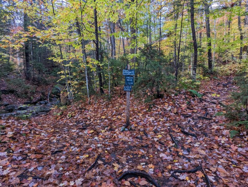 Hike Guide: Indian Head - Adirondacks, New York